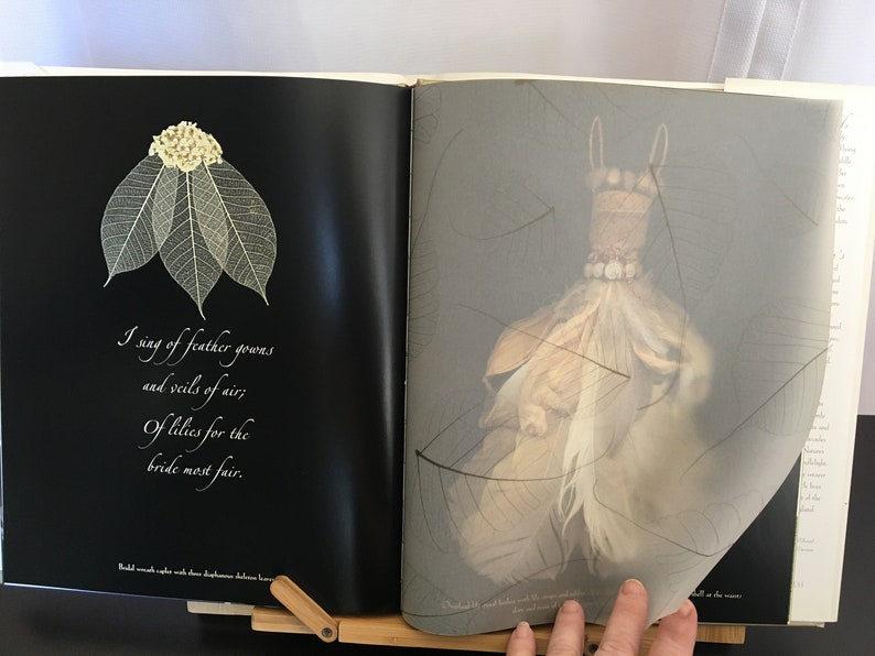 Fairie-ality the Fashion Collection From the House of Ellwand - Etsy