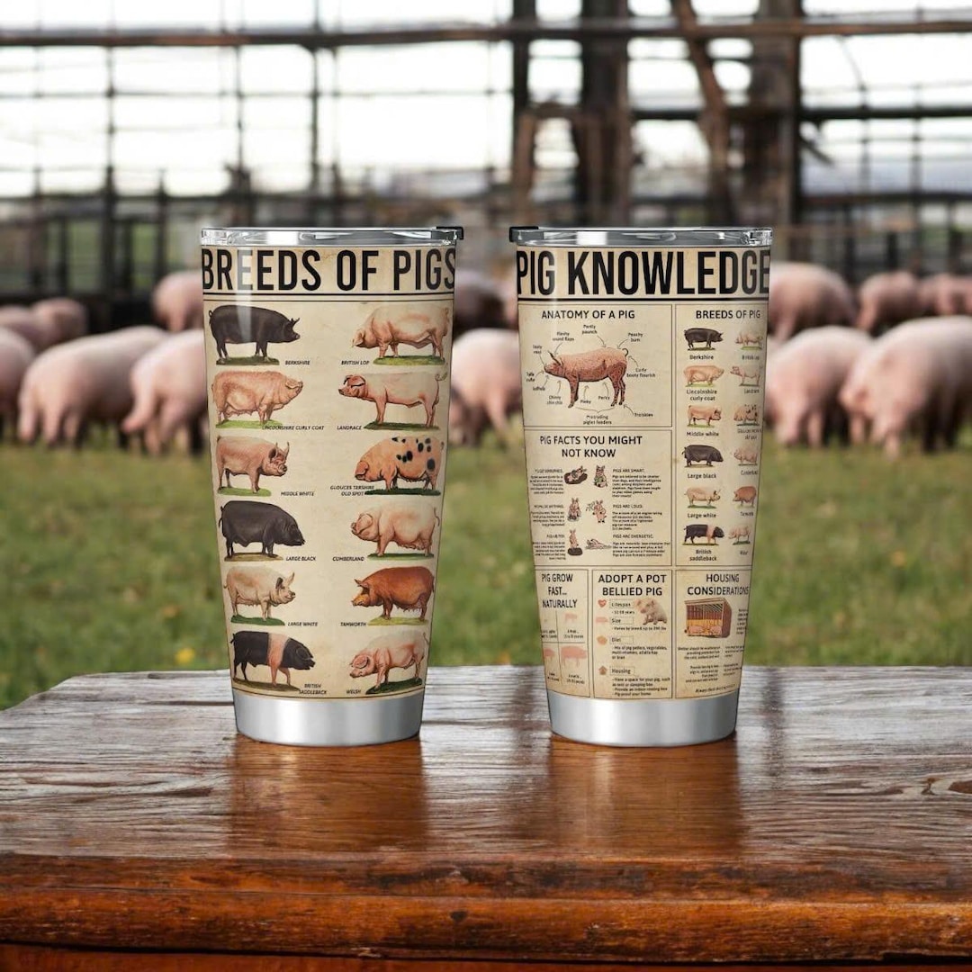 Pig Knowledge Tumbler, Breeds of Pigs, Pigs Lover Gift, Pig Lover ...