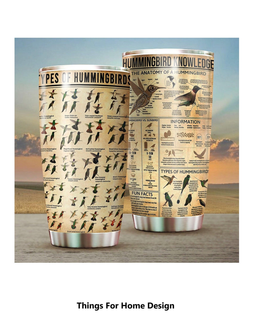 Hummingbird Knowledge Tumbler, Types of Hummingbird, Humming Bird Gifts ...