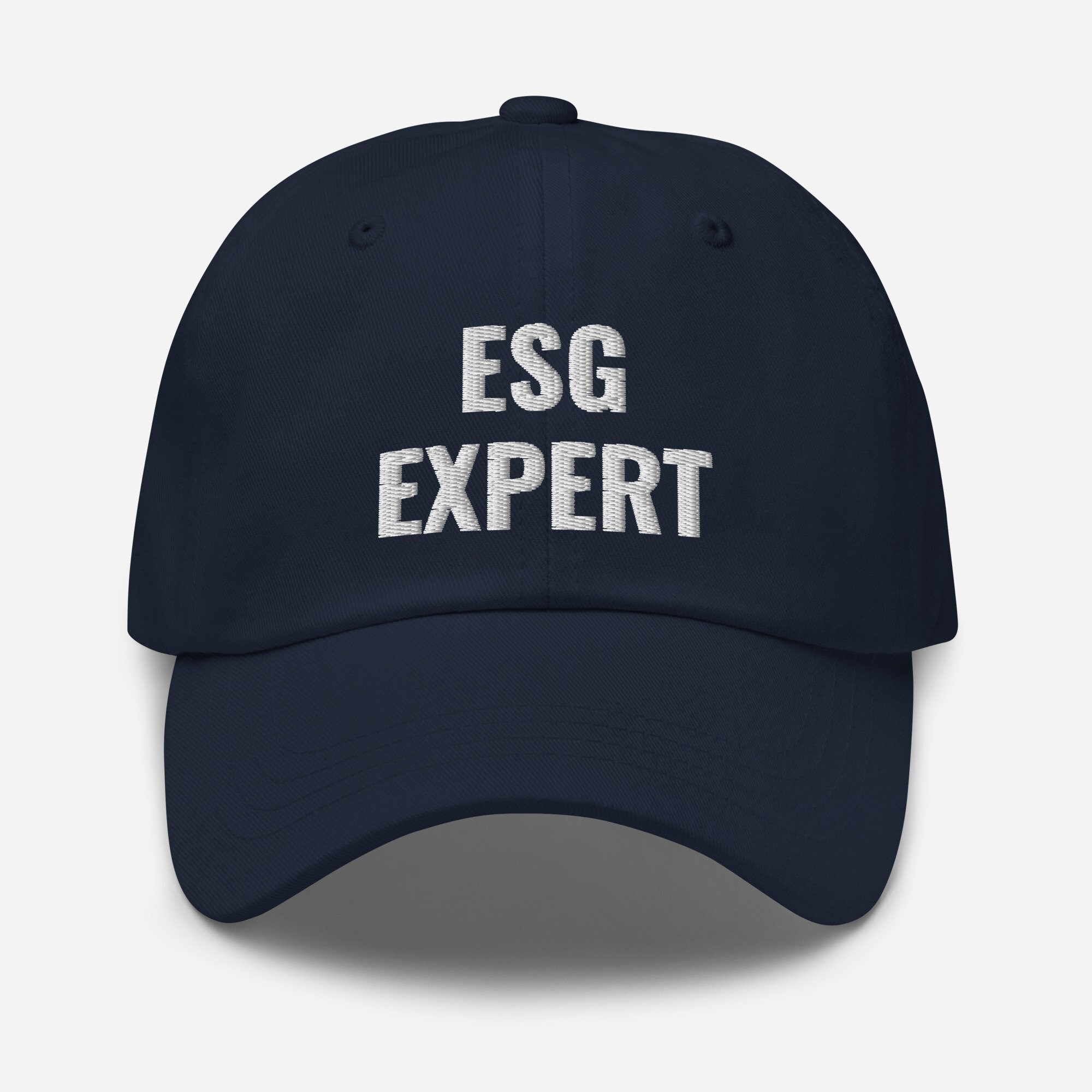 ESG Expert Hat - Etsy