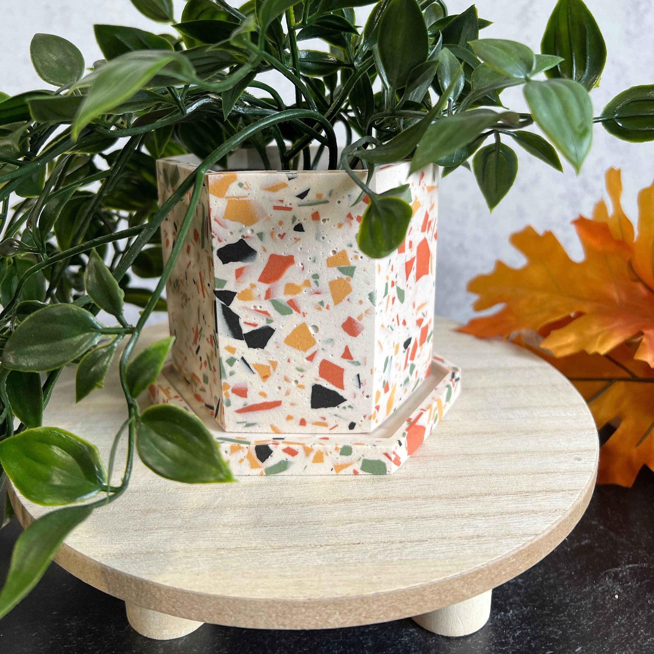 White Terrazzo Hexagon Planter Pot With Drainage Hole Indoor - Etsy