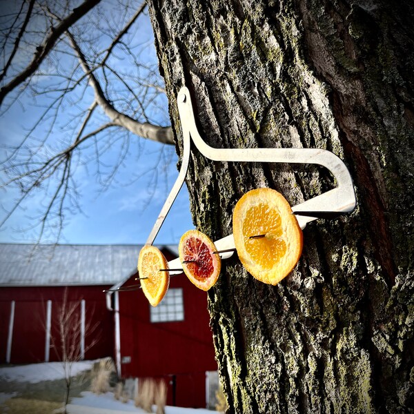 Oriole Feeder - Etsy