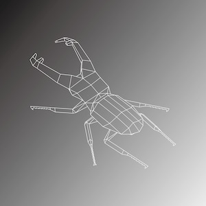 PDF Download, Beetle stag Beetle DIY 3D Papercraft Model - Etsy