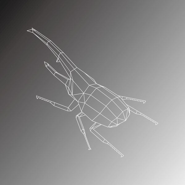 PDF Download, Beetle stag Beetle DIY 3D Papercraft Model - Etsy