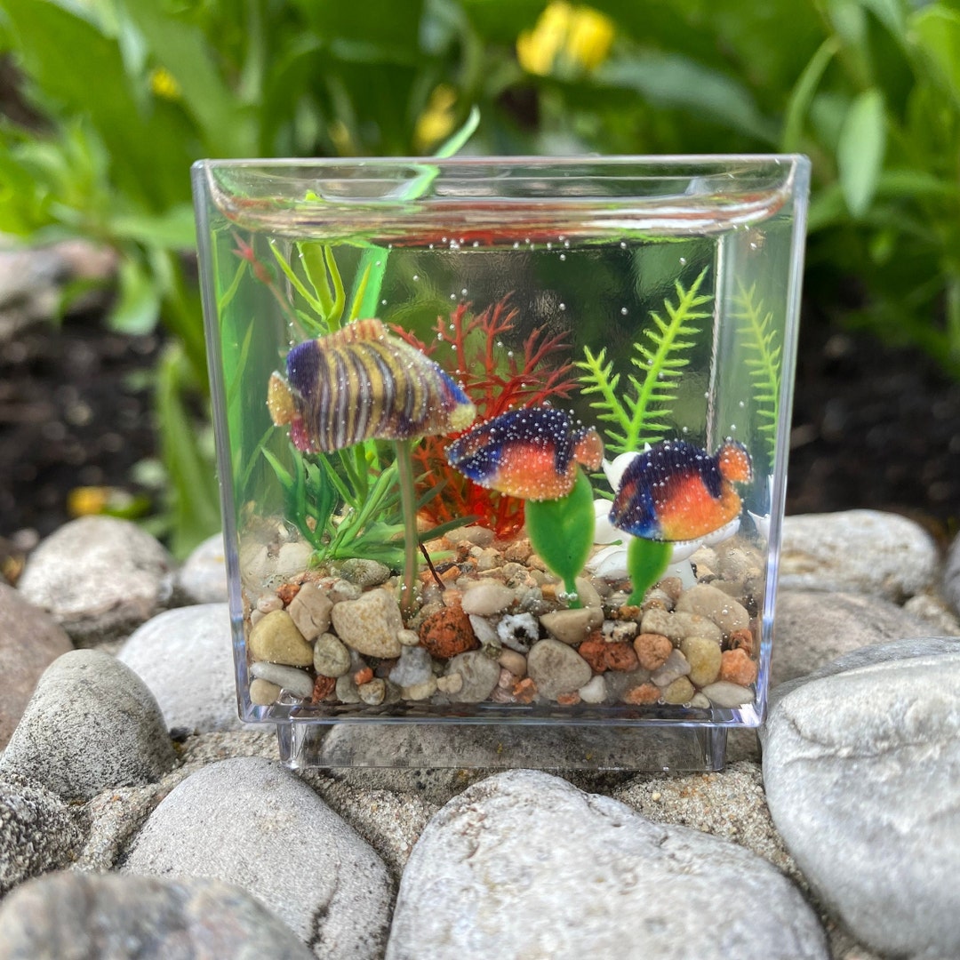 Miniature Aquarium/doll House Aquarium/dollhouse Fish Bowl/mini Fish ...