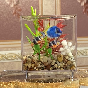 Fish Tank Diorama Ready as a Gift.miniature Bowl.miniature Fish ...