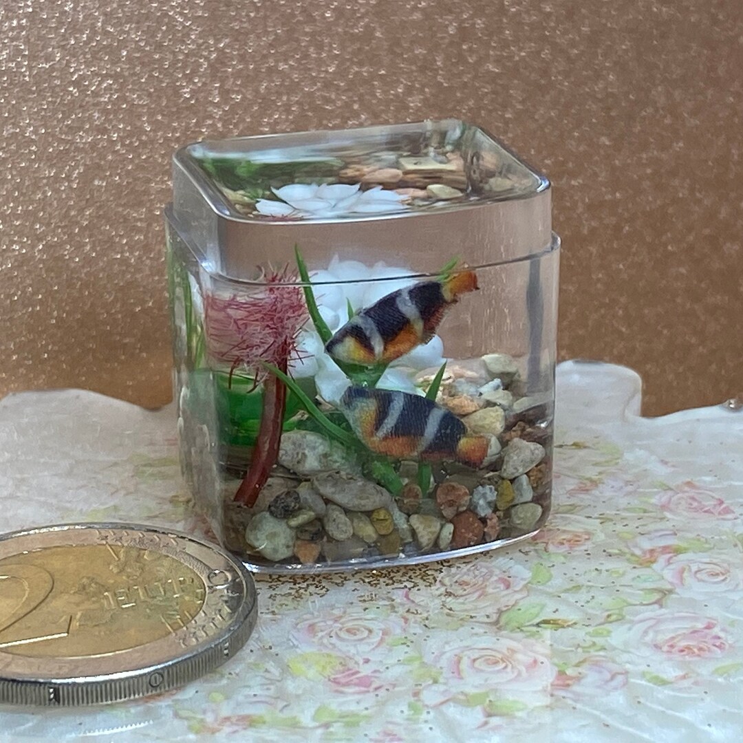Miniature Dollhouse Aquarium, Modern Fish Bowl (1:12 Scale) - Etsy