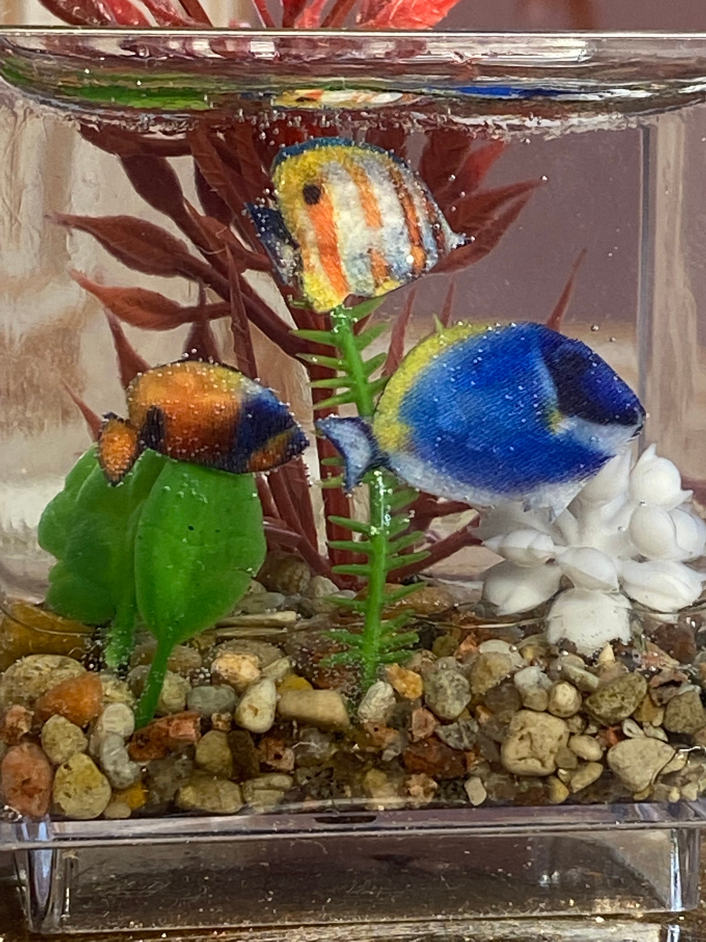 Miniature Fish Tank.1:6 Scale Aquarium.fich Bowl.diorama - Etsy