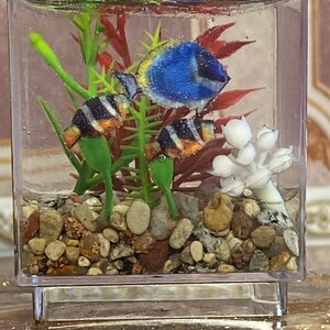 Fish Tank Diorama Ready as a Gift.miniature Bowl.miniature Fish ...