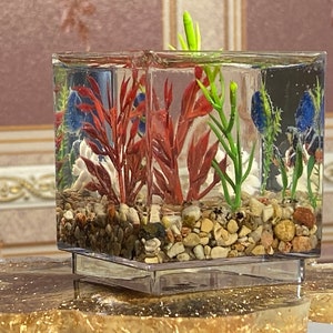 Fish Tank Diorama Ready as a Gift.miniature Bowl.miniature Fish ...