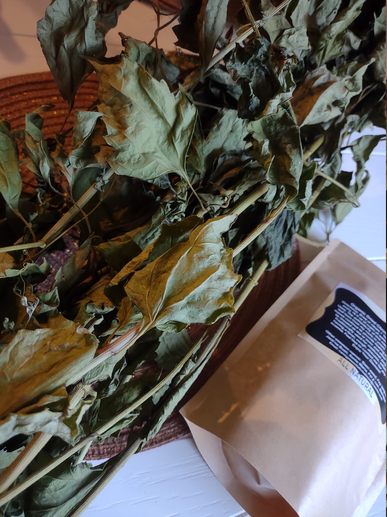 Jack'na Bush Dried, Chromolaena Odorata, Catnip, Fey Lang Chat, Siam ...