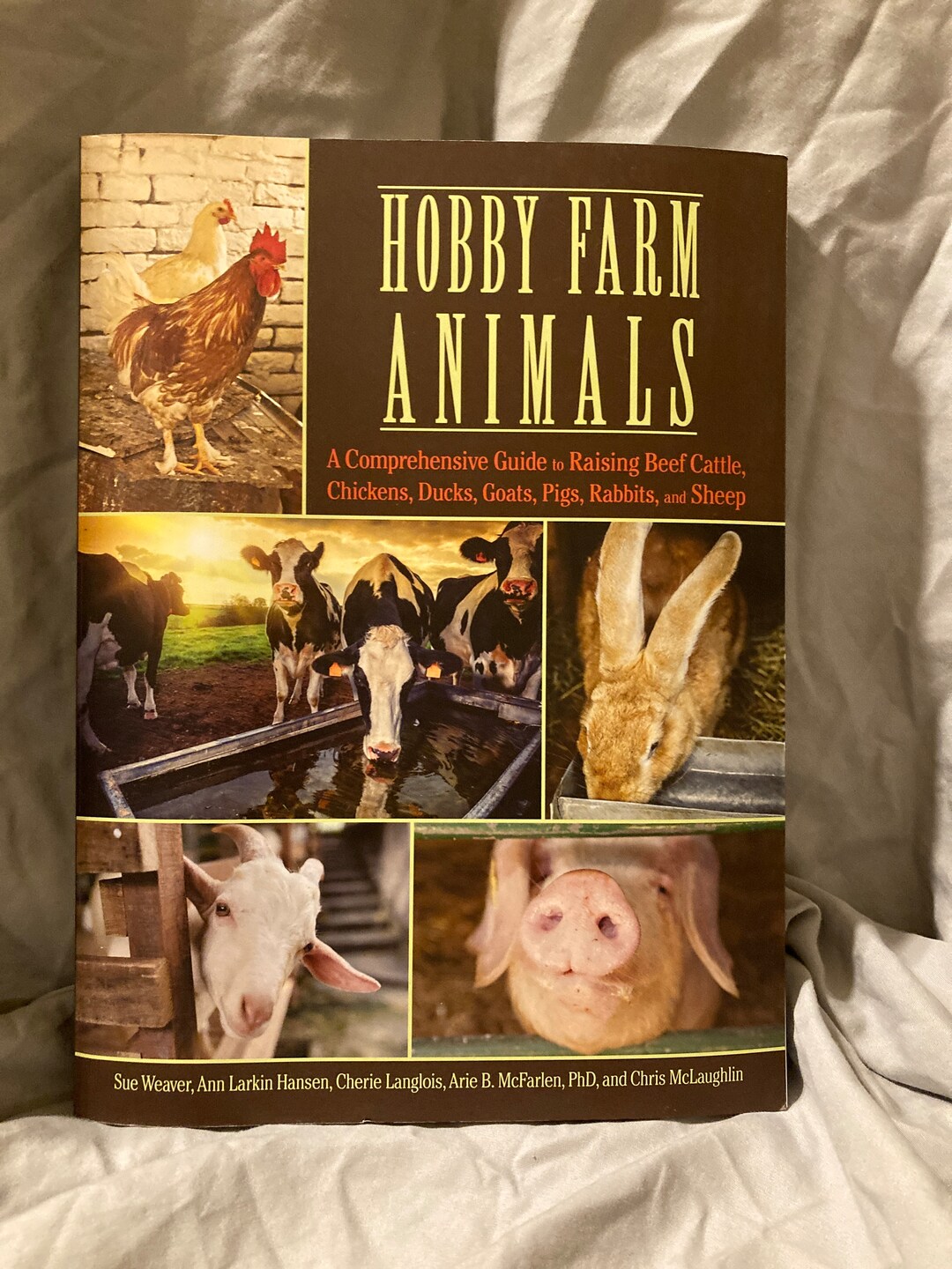 Hobby Farm Animals A Comprehensive Guide to Raising Beef - Etsy