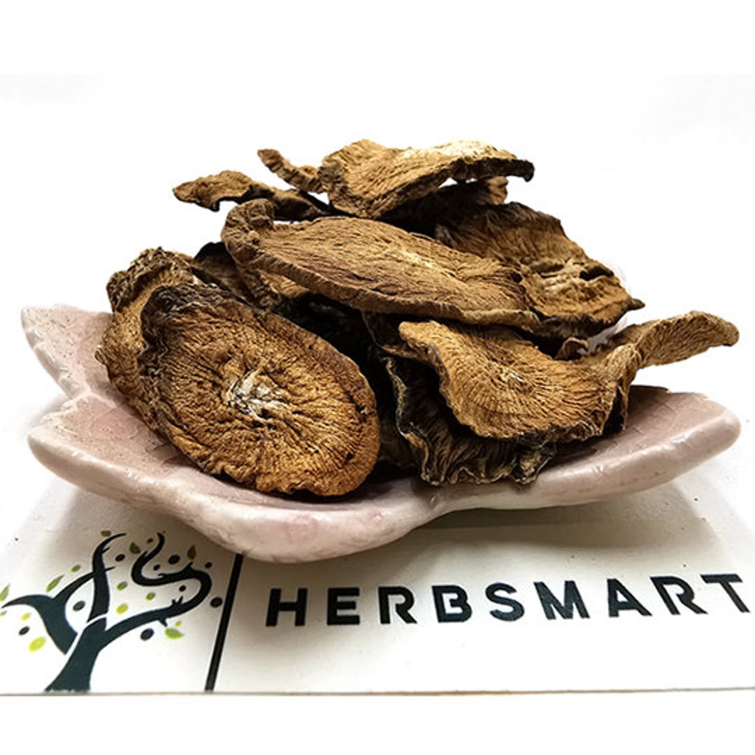 Burdock Root Slices | Dried Herbs | Arctium Lappa | Botanical | Natural ...