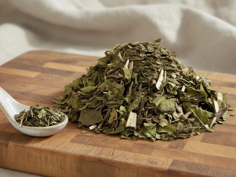 Adulsa Leaves | Dried Justicia Adhatoda Herb | Vasaka Leaves for ...