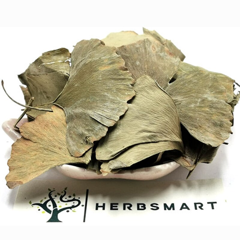 Dried Ginkgo Leaves - Etsy