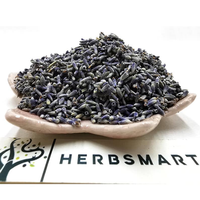 Lavender Flower Super Blue | Lavendula Angustifolia - Etsy