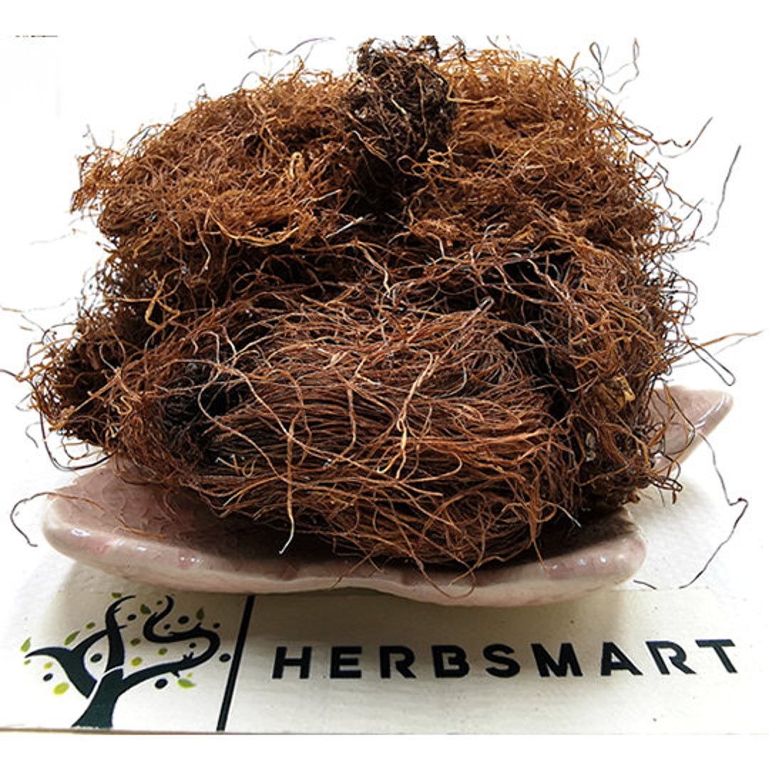 Cornsilk | Zea Mays | Botanical | Natural | Herbal | Dried Herbs | Tea ...