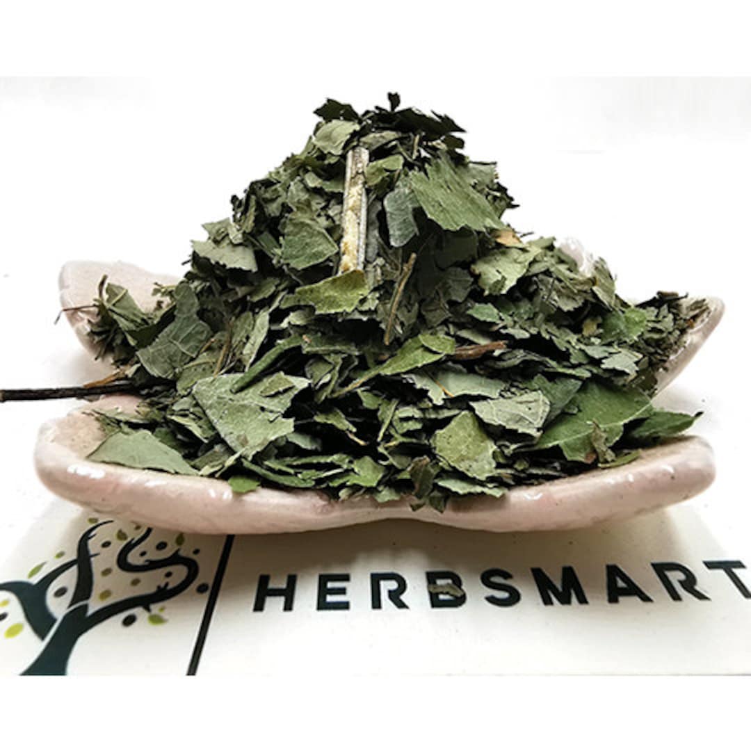 Sassafras Leaves | Sassafras Albidum | Botanical | Natural | Herbal ...