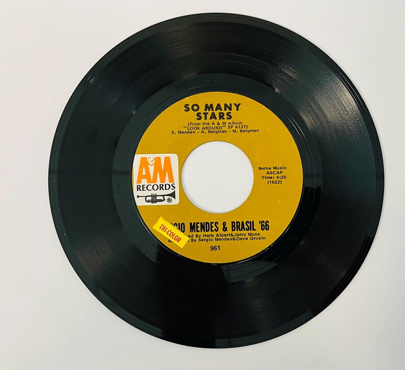 Sergio Mendes & Brazil ‘66 - Fool in the Hill Vinyl 7” - Etsy