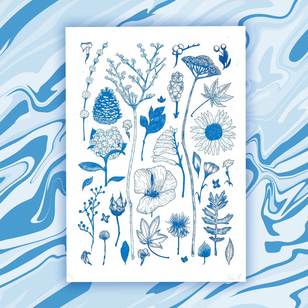 A4 Floral Flash Sheet Print Illustrated Art Print Unique Gift A4 Poster ...