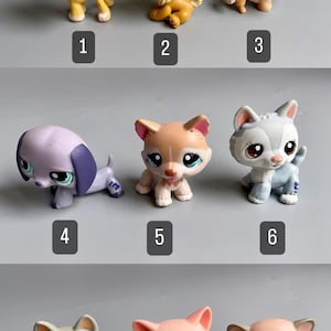 Littlest Pet Shop G2, Hasbro Littlest Pet Shop CHOOSE YOUR OWN, Y2k ...