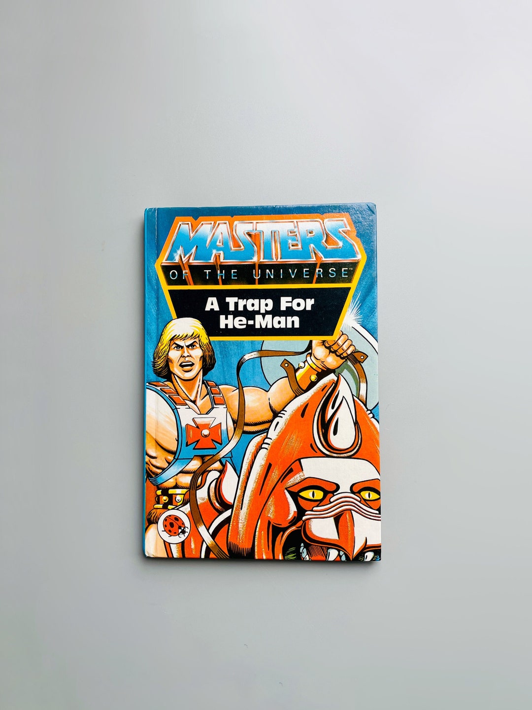 He Man Masters of the Universe A Trap for He-man Book, Ladybird Vintage ...