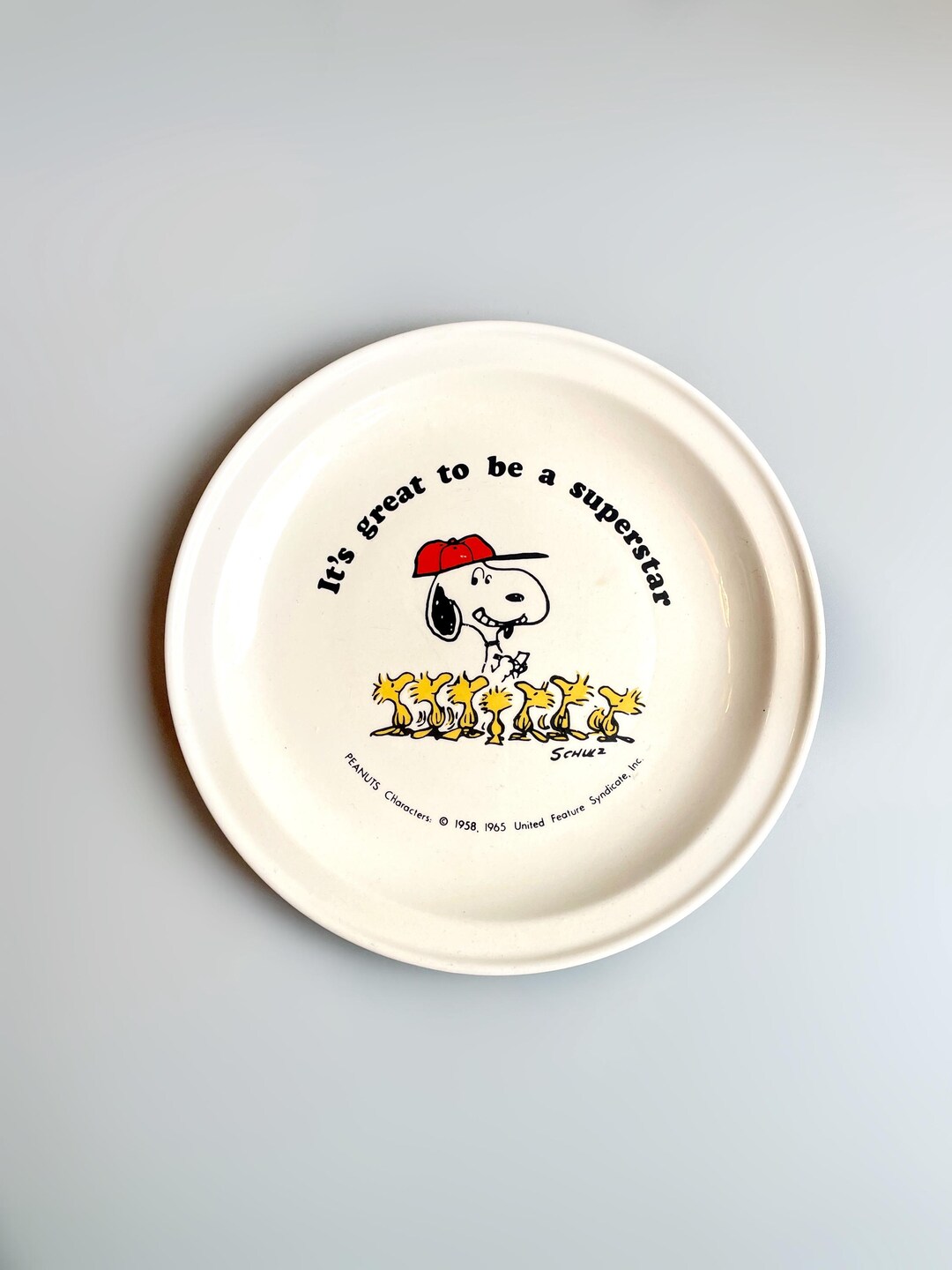 Snoopy Plate Vintage Snoopy Peanuts Plate Woodstock, Carrigaline ...
