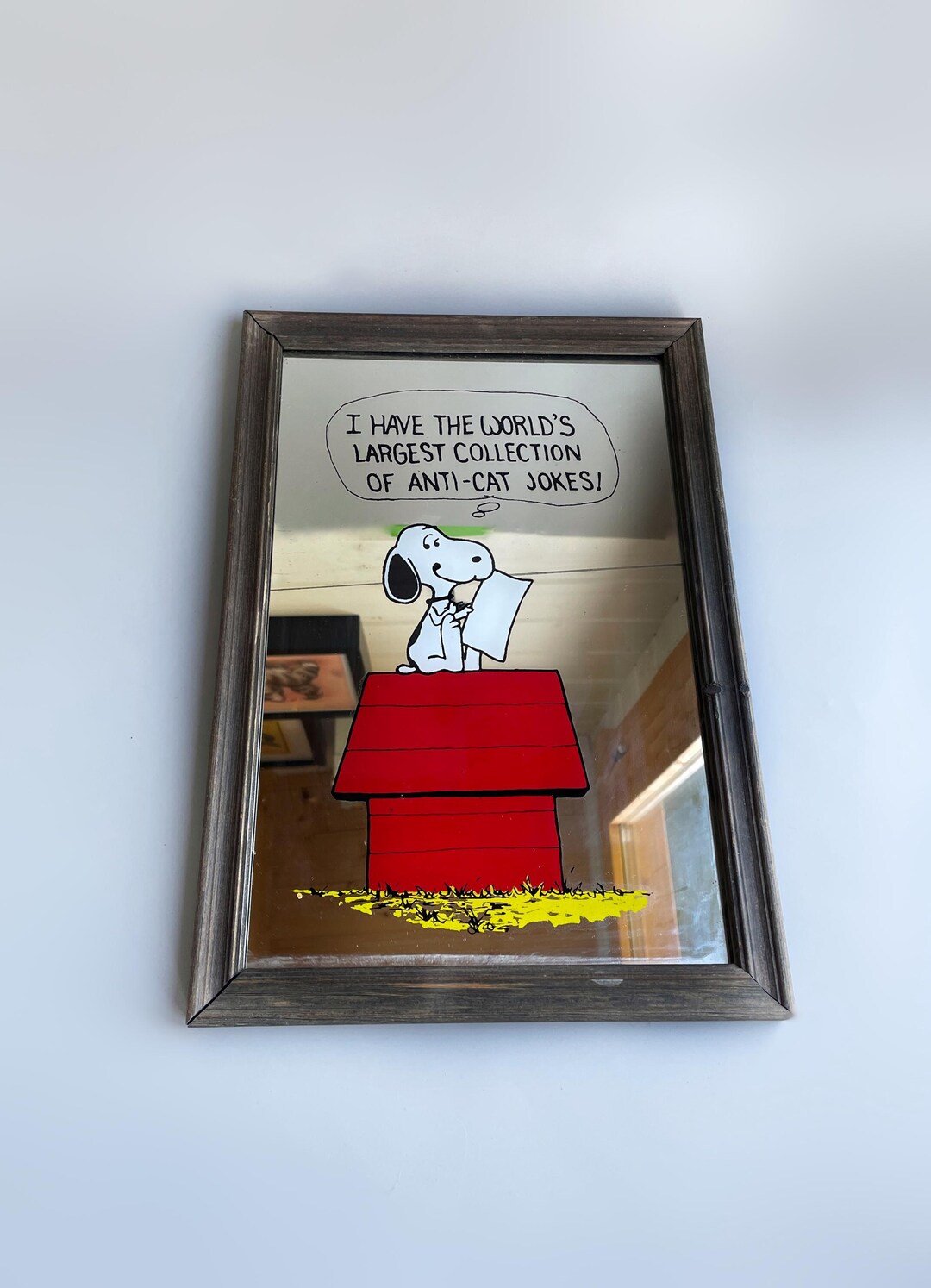 Vintage Snoopy Mirror, Snoopy Peanuts Cat Jokes, Snoopy Picture Mirror ...
