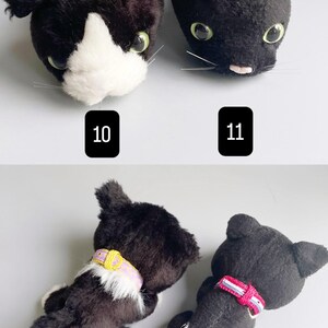The Cat Plush, the Cat Plushies Artlist Collection Mini Cats Big Nose Kitty Plush Breeds, CHOOSE ...