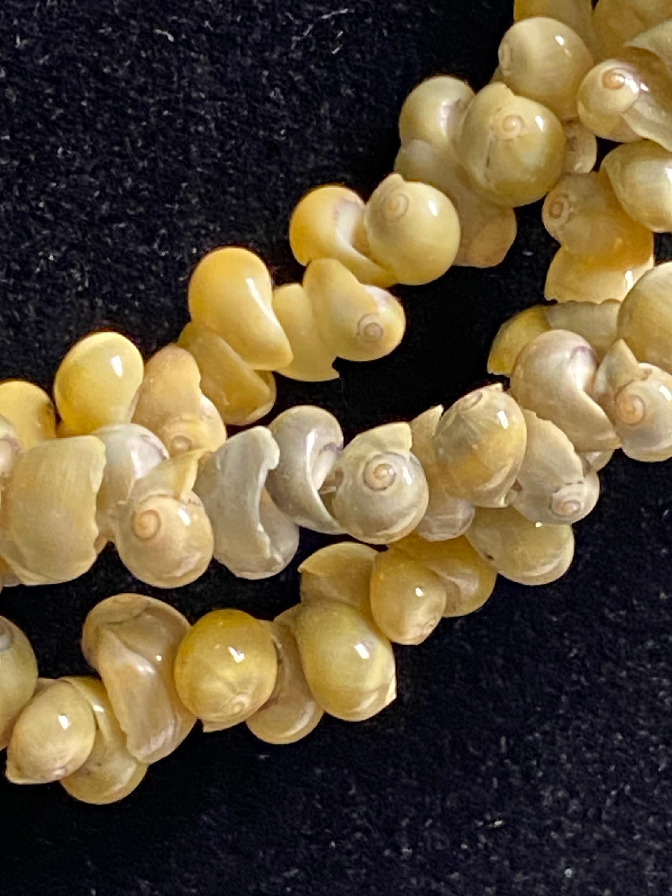 Vintage Mini Littorina Snail Shell Necklace - Etsy
