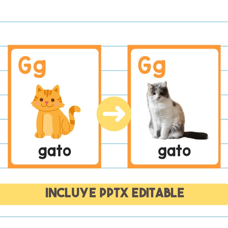 Flashcards Abecedario de Animales en Español Editable | Spanish ...