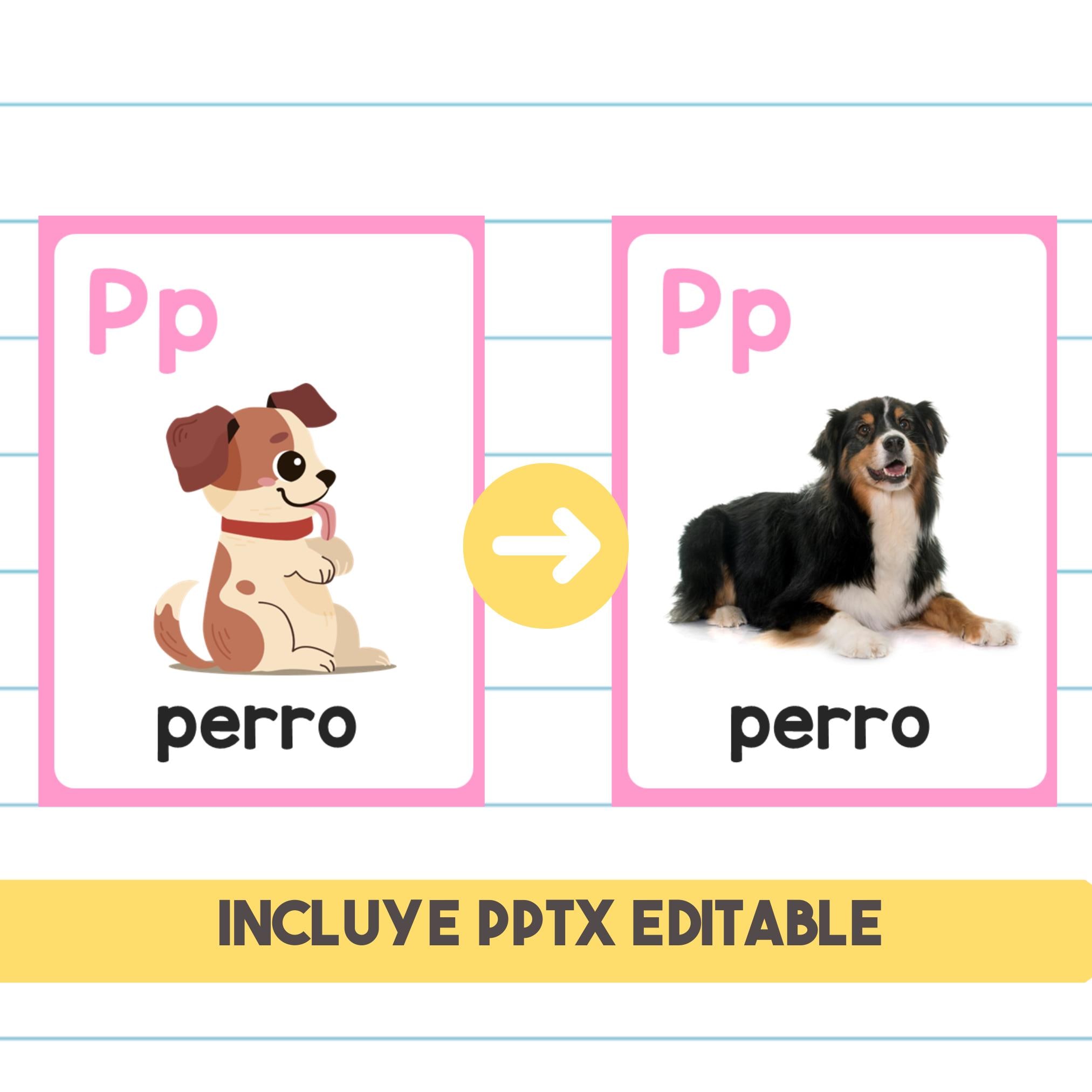 Flashcards Abecedario en Español | Editable | Spanish Alphabet ...
