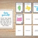 Printable US Map and 50 State Flashcards for Geography Homeschool ...