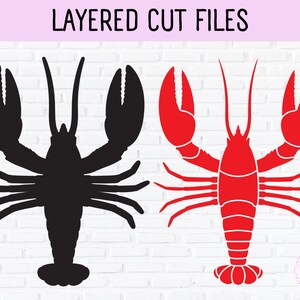 Crawfish SVG, Crayfish PNG, Crawdaddy Vector, Crawdad Sublimation, Crab ...