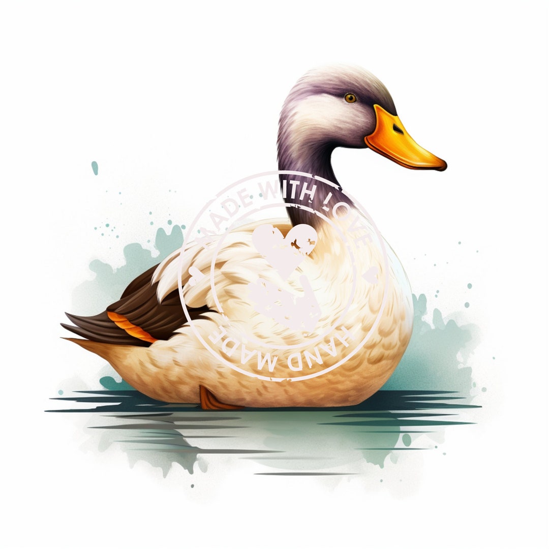Duck Clipart - High Quality Jpgs - Digital Download - Card Making, Clip ...