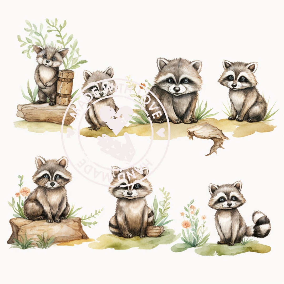 Watercolor Raccoon Clipart: Forest Animals PNG (digital Download) - Etsy