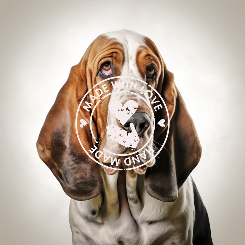 Basset Hound Clipart - High Quality Jpgs - Digital Download - Card ...