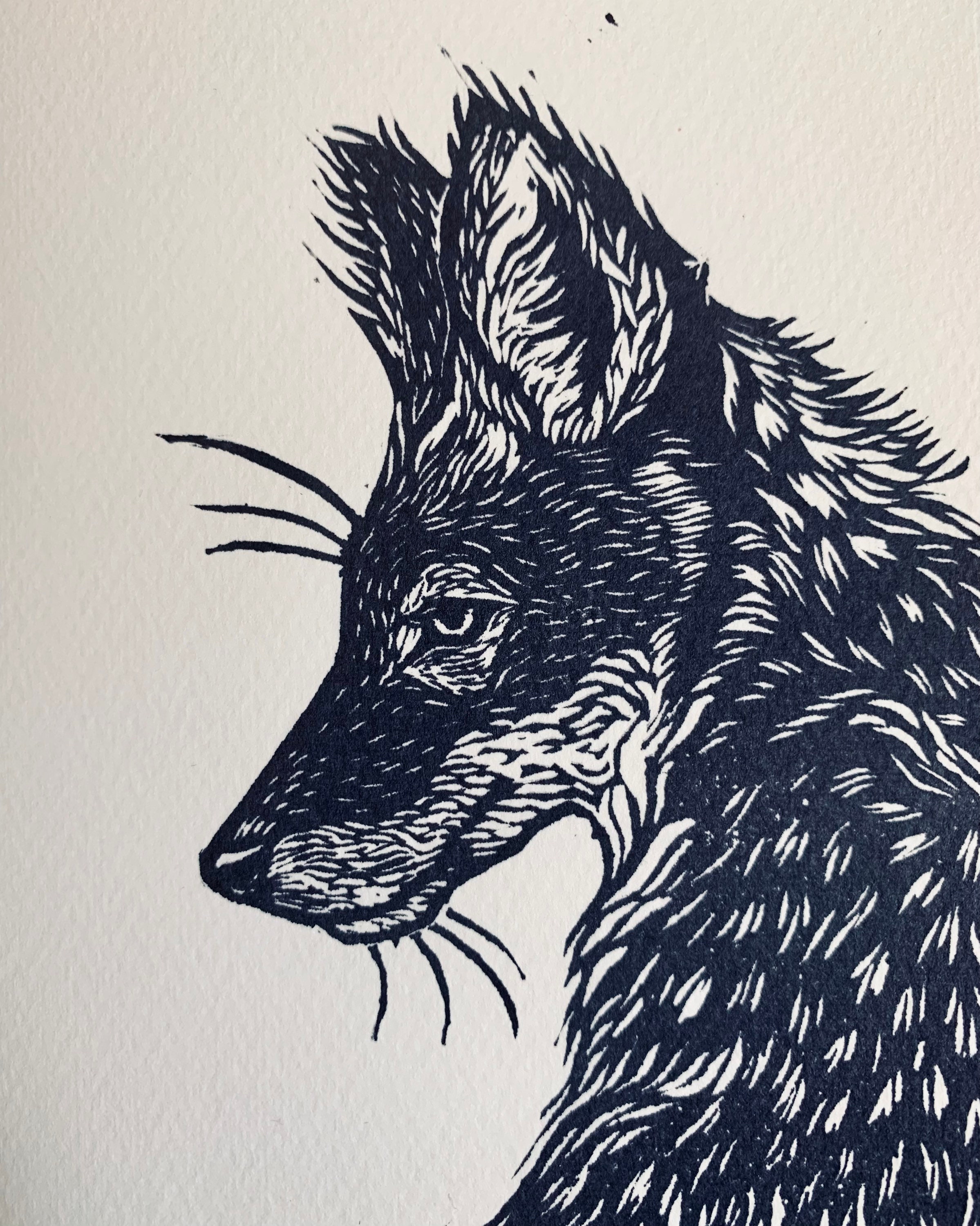 Coyote Linocut Greeting Card - Etsy