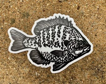 Bluegill, Bluegill Decal, Bluegill Sticker, Panfish - Etsy