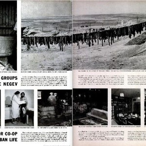 LIFE Magazine July 1949 | the New Israel | First Year of Modern Israel ...