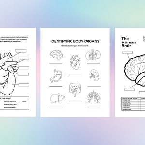 Biology Learn and Colour Printable Bundle, Instant Download - Etsy
