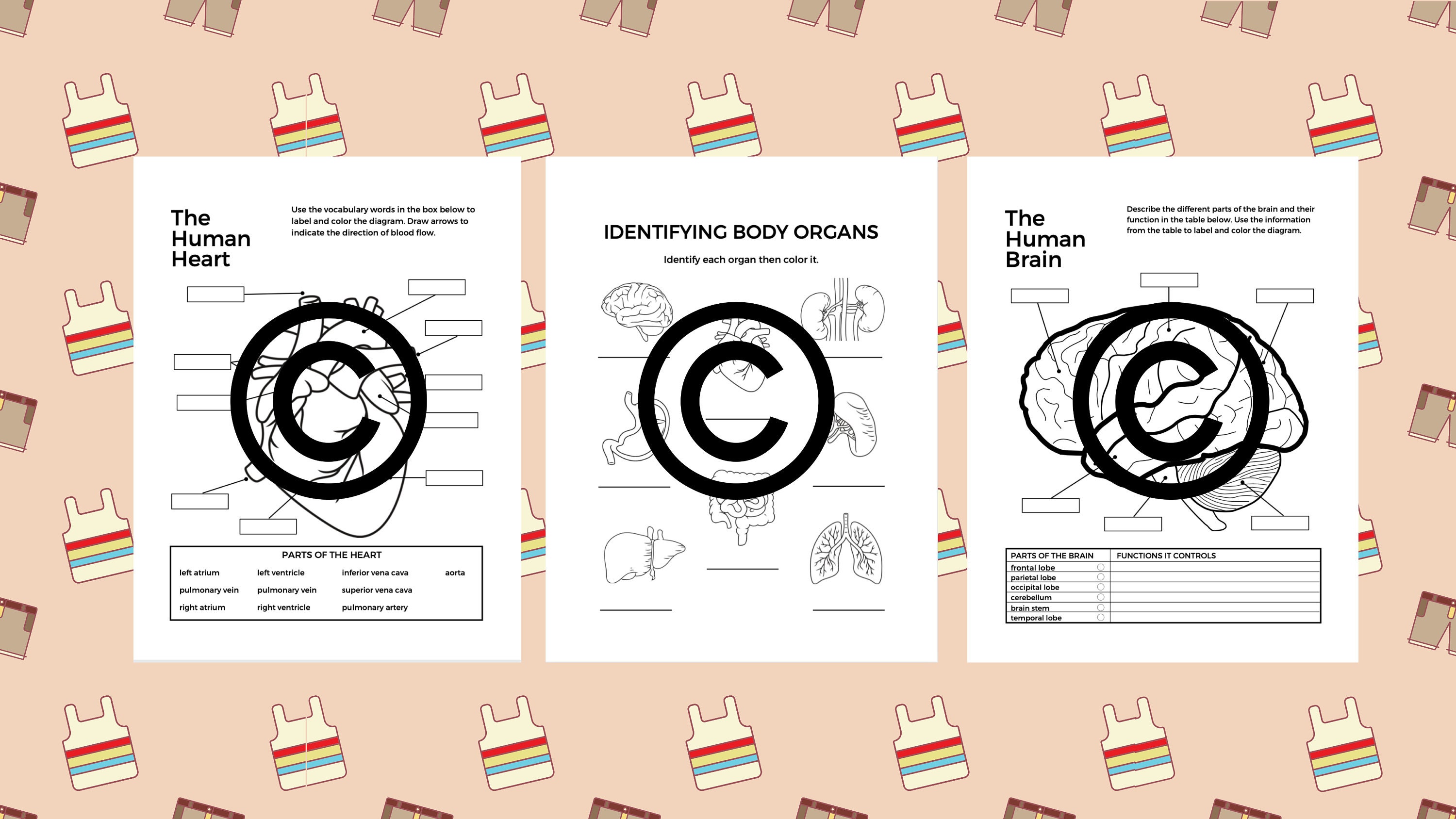 Biology Learn and Colour Printable Bundle Instant Download | Etsy