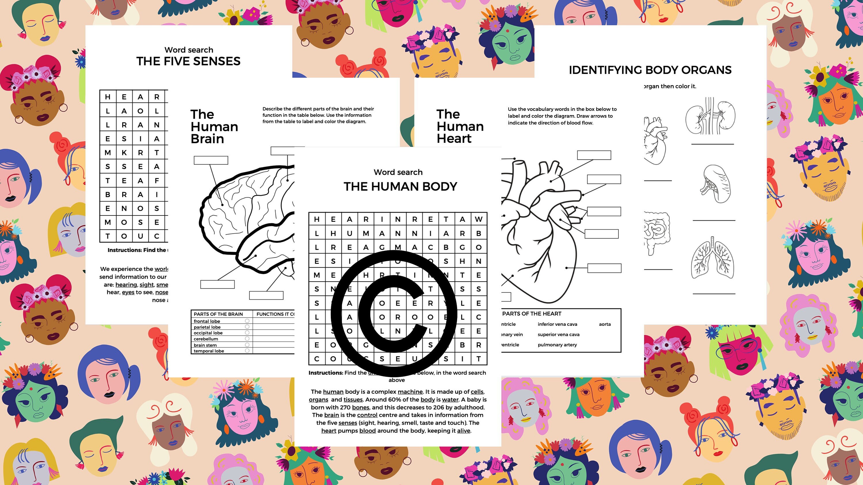 Biology Learn and Colour Printable Bundle Instant Download | Etsy