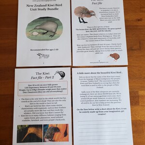 NEW ZEALAND Kiwi Bird Unit Study Bundle. Montessori Style, Hands-on ...