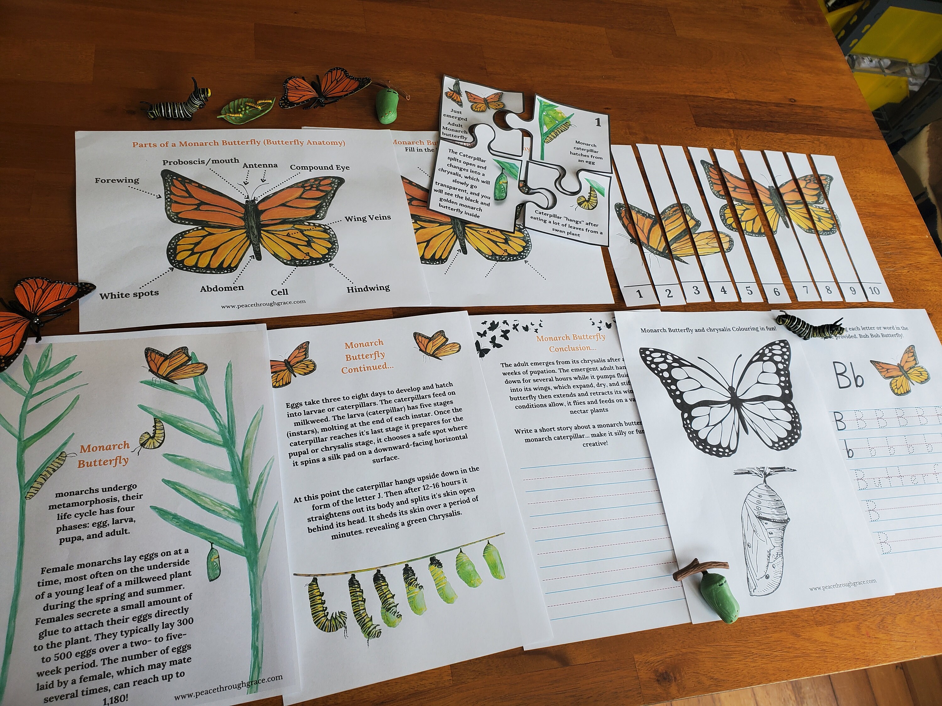 Monarch Butterfly Study Bundle, Montessori, Charlotte Mason, Fun ...