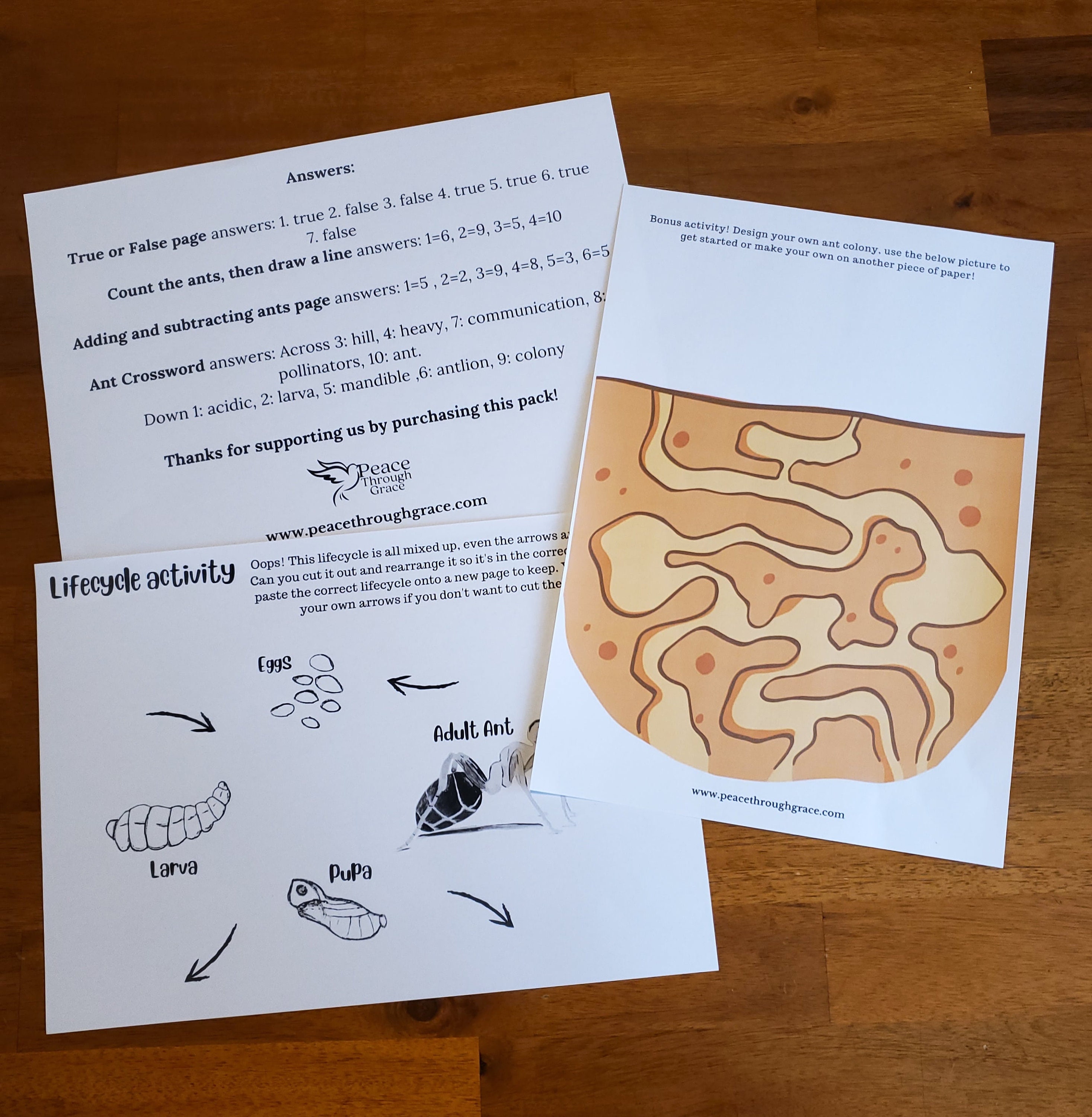 ANTS! Study Bundle Montessori, Life Cycle, Anatomy, Nature Study ...