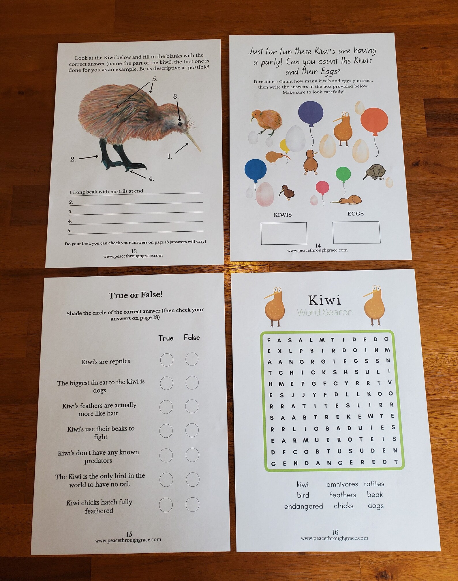 NEW ZEALAND Kiwi Bird Unit Study Bundle. Montessori Style, Hands-on ...