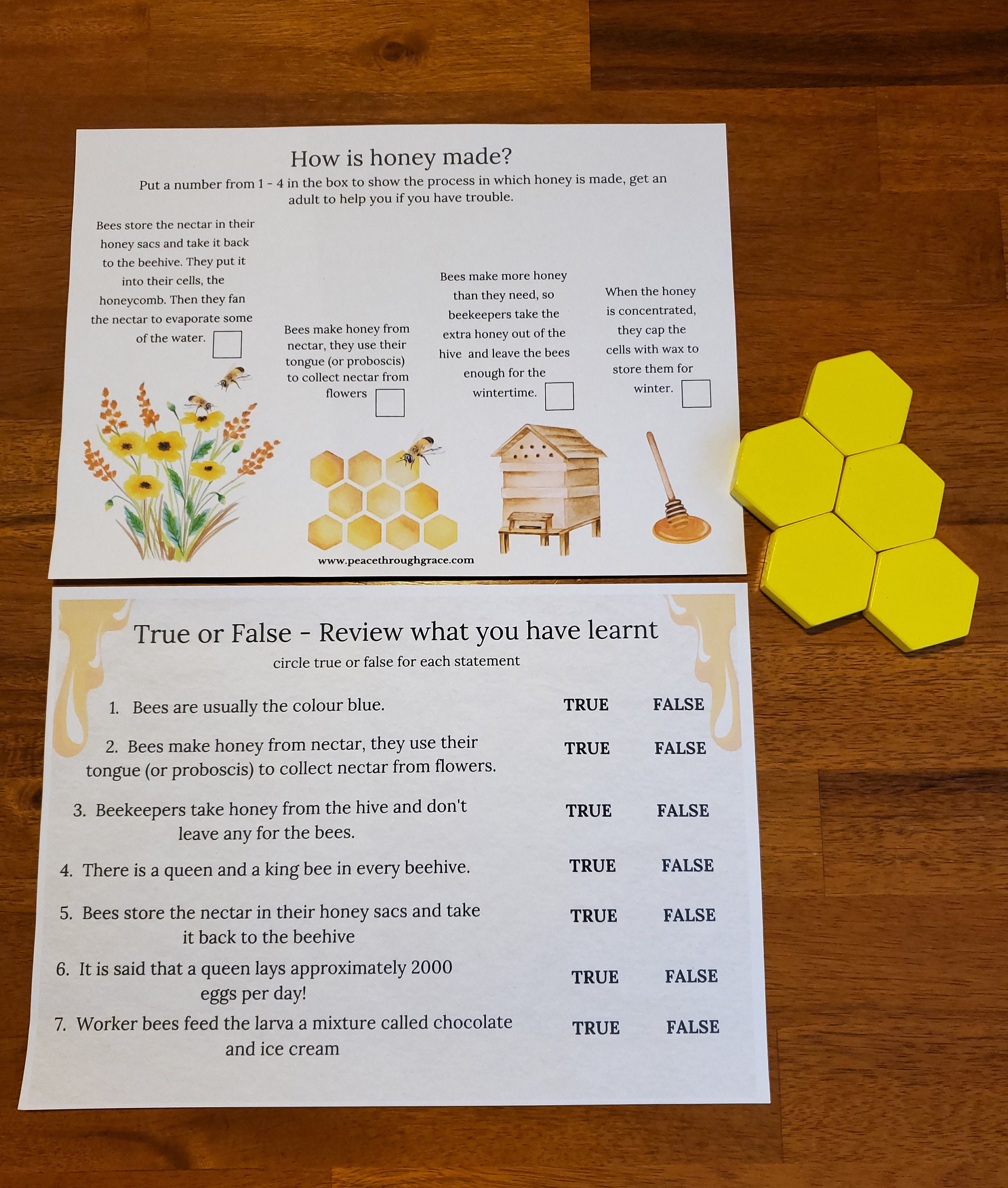 Honey Bee Unit Study Bundle, Learning, Montessori, Charlotte Mason, Fun ...