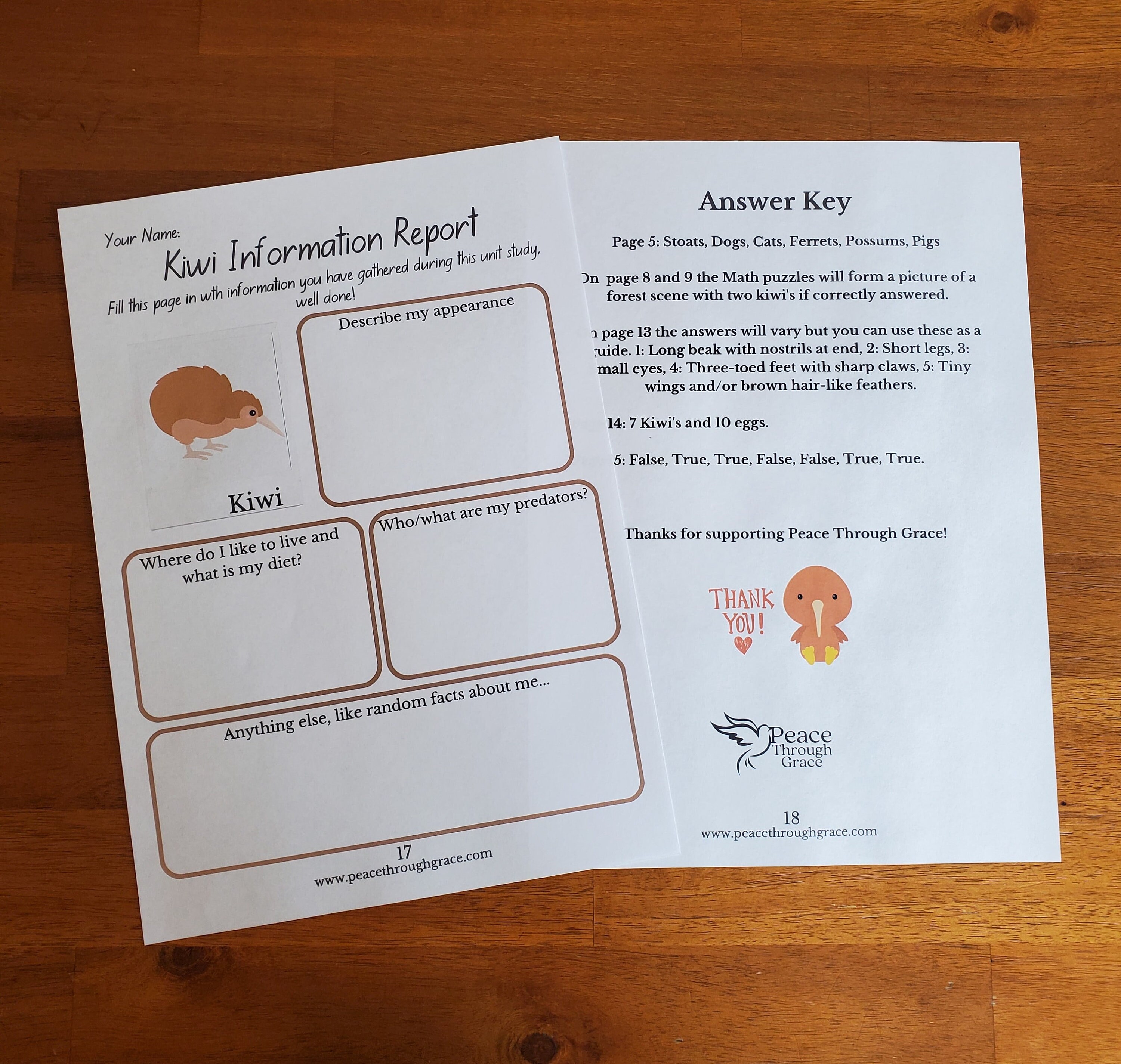 NEW ZEALAND Kiwi Bird Unit Study Bundle. Montessori Style, Hands-on ...