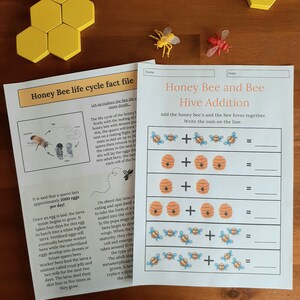 Honey Bee Unit Study Bundle, Learning, Montessori, Charlotte Mason, Fun ...